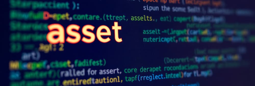 Assertions in programming