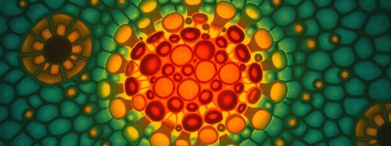 Cells and Microscopy: Exploring Cell Structures
