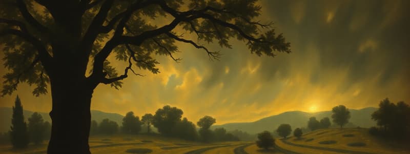 Understanding Cortical Visual Impairment (CVI)