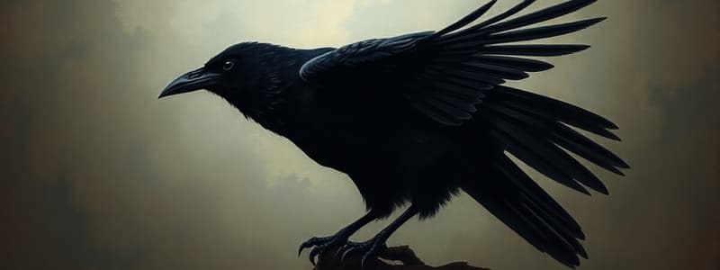 The Raven: Symbolism and Tone
