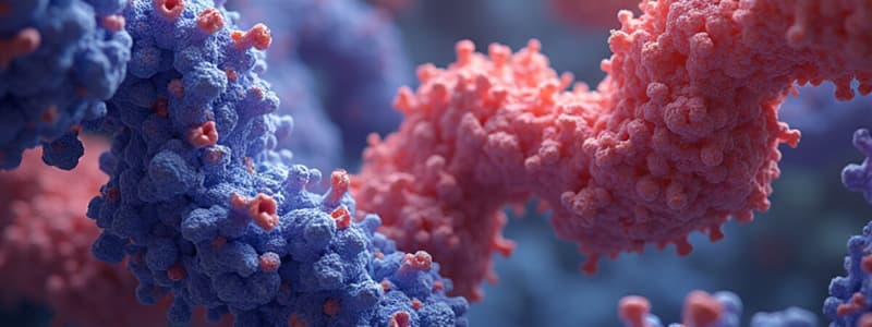 Macromolecules: Proteins, Lipids, and Carbohydrates