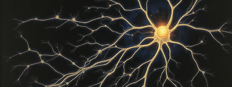 Nervous System and Action Potentials