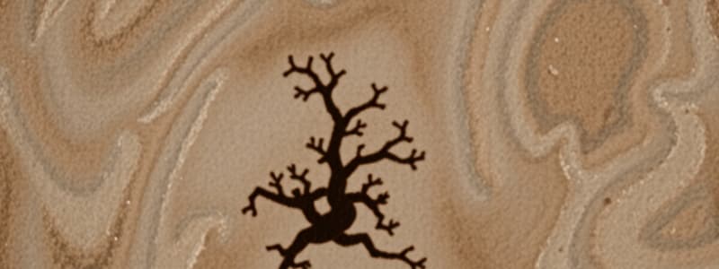 Android UI Components and Layouts