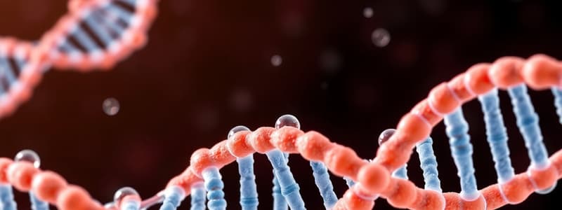 Nucleic Acids: DNA, RNA, and Nucleotides