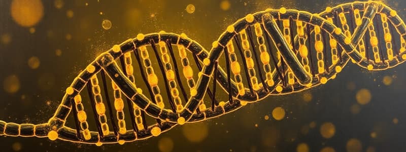 Understanding DNA: Structure and Function